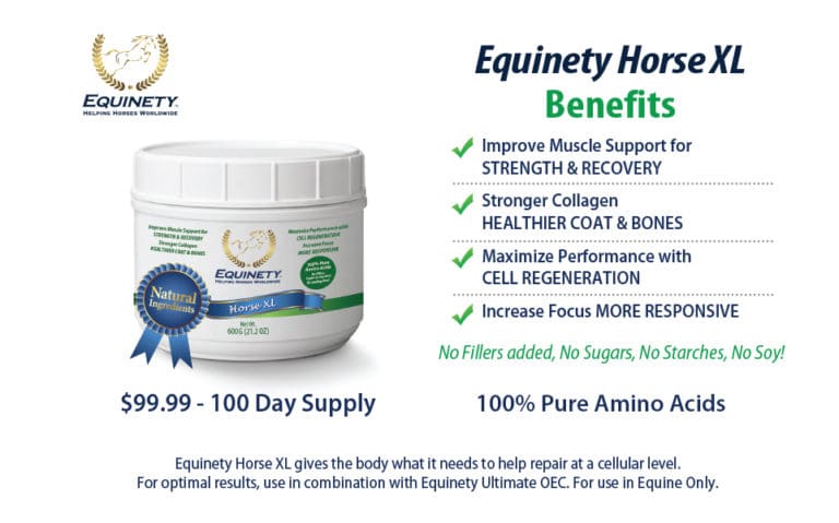 Equinety - Best Horse Supplements 2022